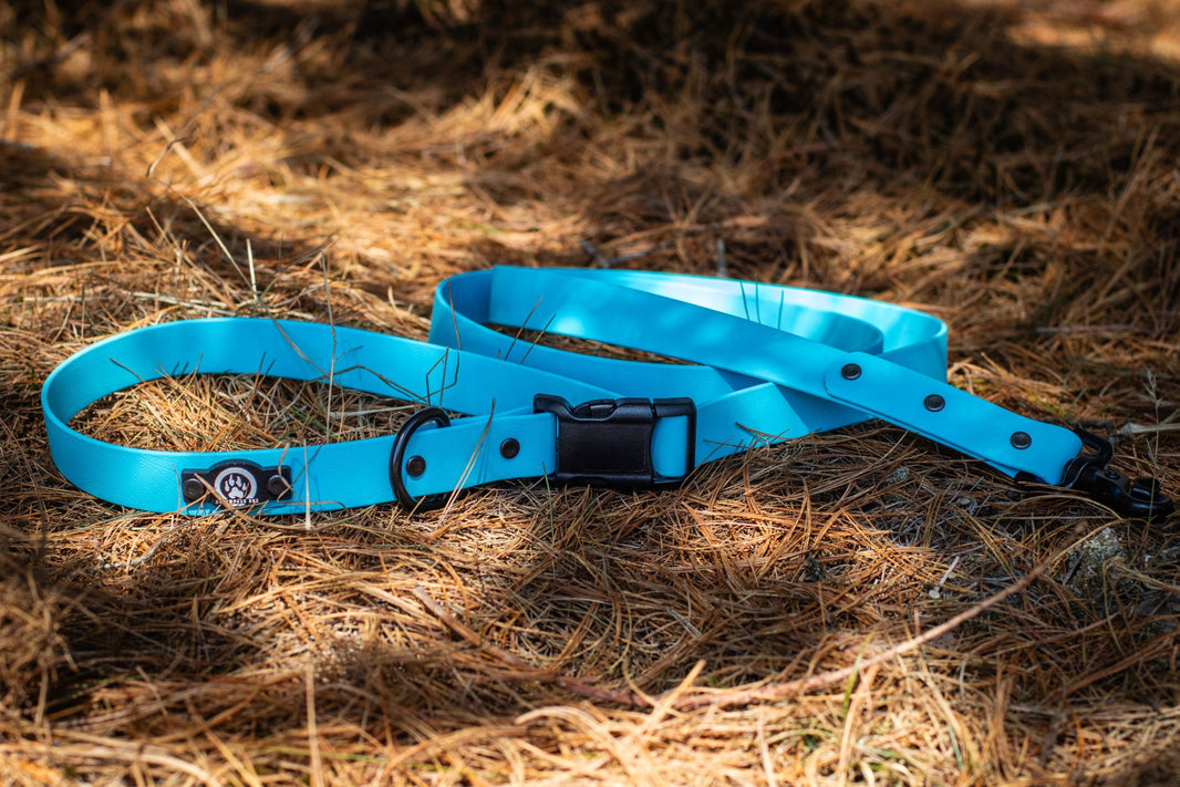 Backwoods Dog Waterproof BioThane Rugged Dog Gear for Every Adventure