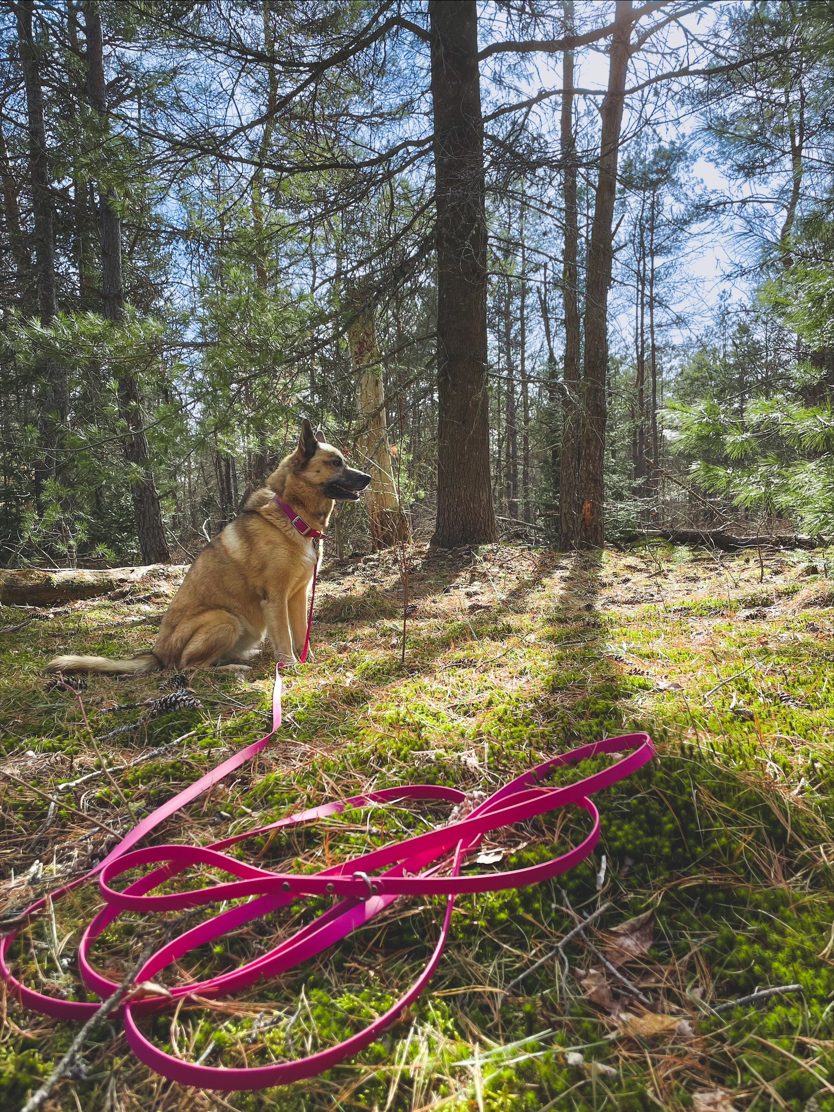 Waterproof BioThane Long Lead | Stainless Steel Hardware – Backwoods Dog